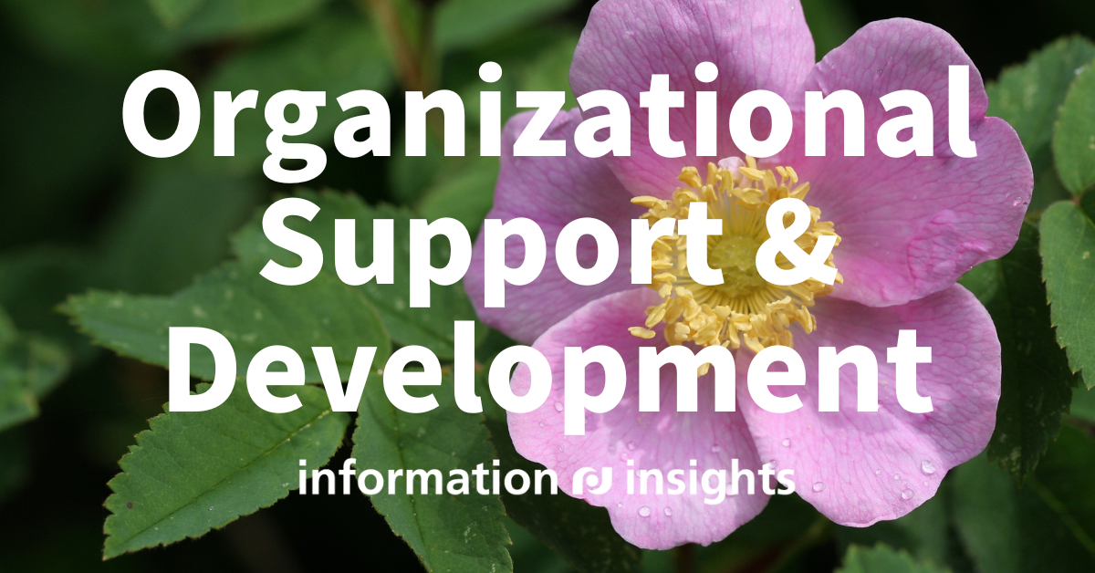 Organizational Support & Development - Information Insights